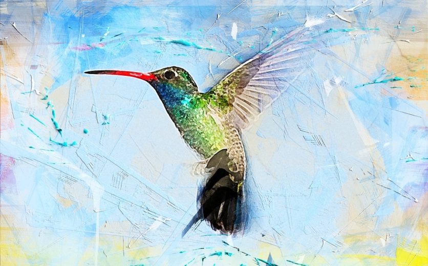 LA LEYENDA MAYA DEL COLIBRÍ | Consejos del Conejo